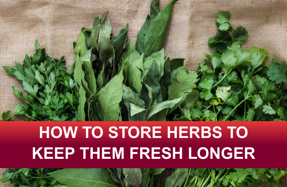How to Store Herbs to Keep Them Fresh Longer - Lyfe Place
